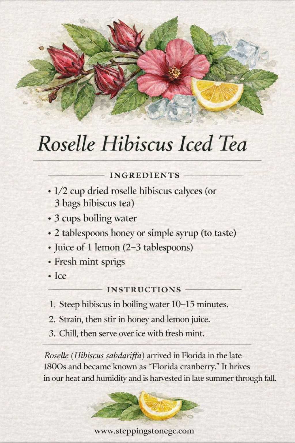 Florida’s “Cranberry” – Stepping Stone Garden Coach